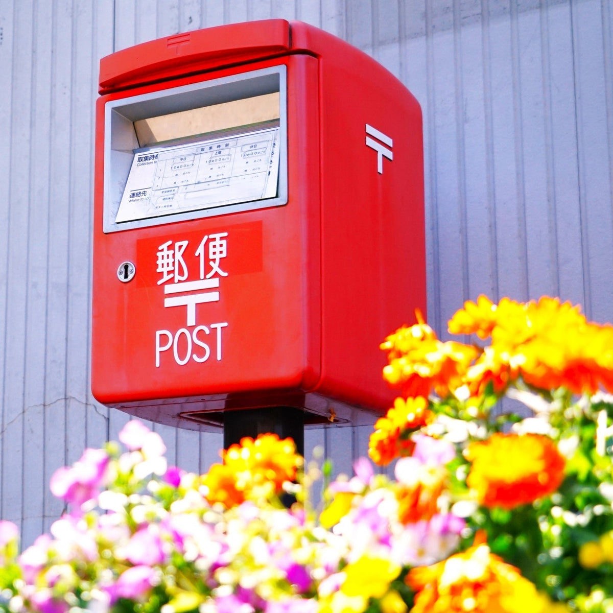 イベントや案内のDMハガキは届く日が命！ – DMFUN